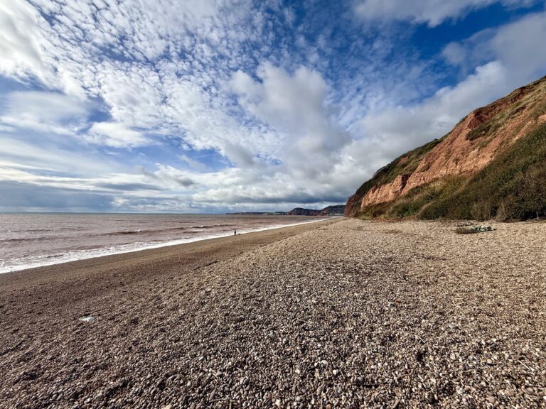Things to Do in Devon in January & February 2026