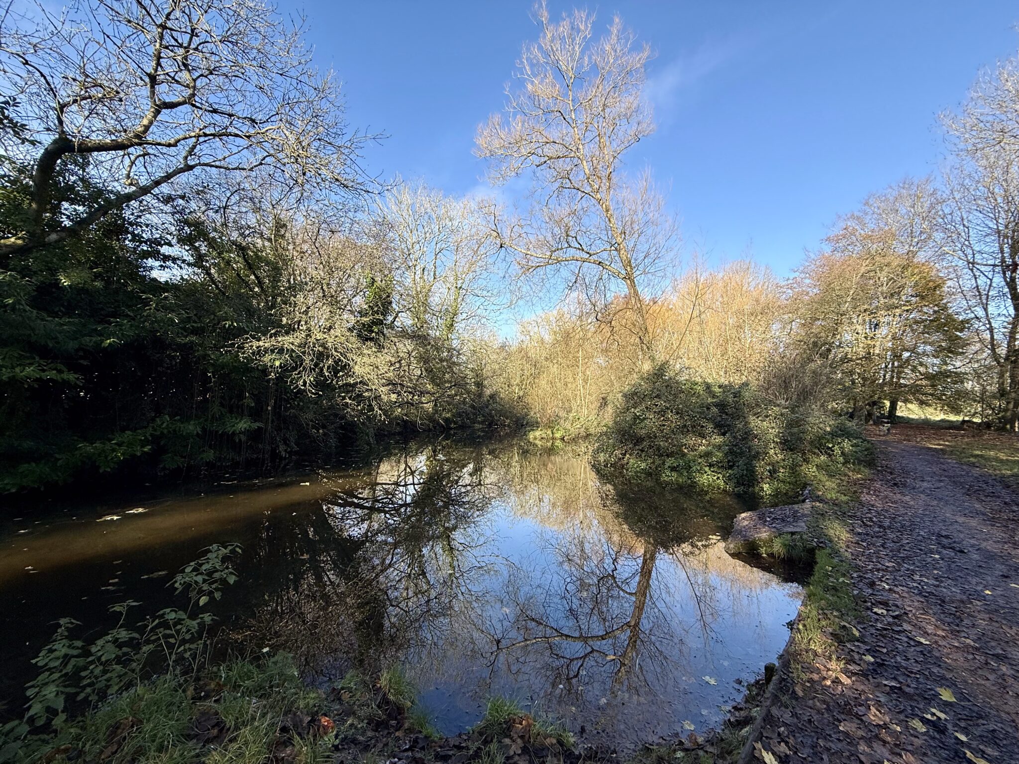 Cullompton Devon Travel Guide: Best Things to Do, Places to Visit