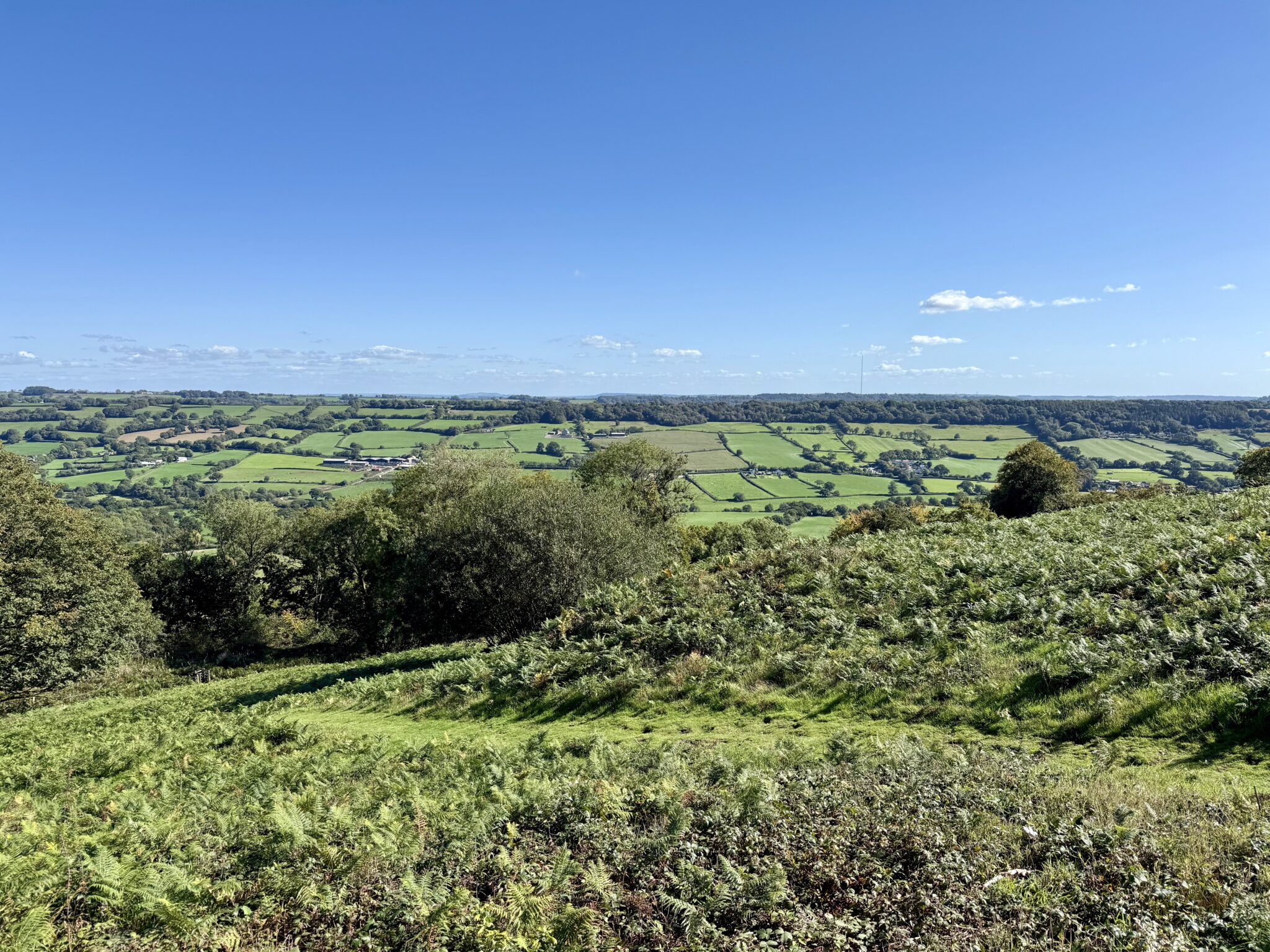 Dumpdon Hill Fort Walk: Easy Walks with Views